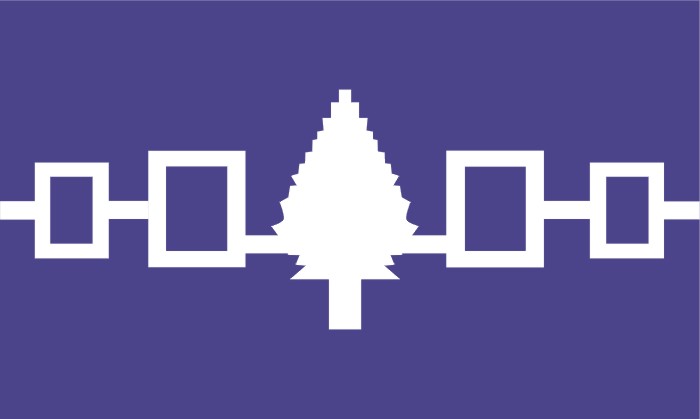 Native American flags: The good and the bad – Fun Flag Facts